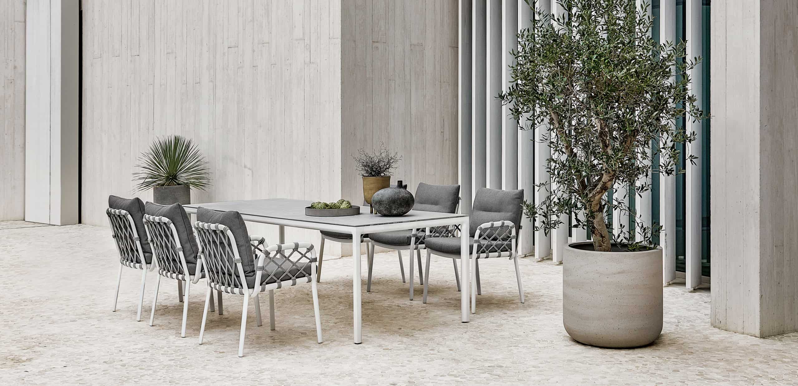 Collection CARO Dining - solpuri